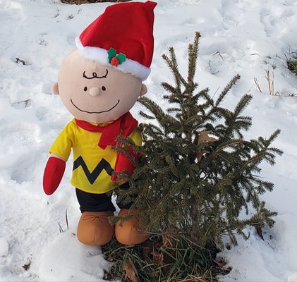 CAVANNA’S FARM - Updated June 2024 - 22 Photos & 15 Reviews - 80 ...