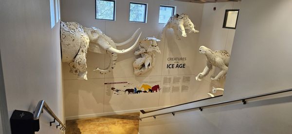 NORTHWEST MUSEUM OF ARTS & CULTURE - Updated December 2024 - 113 Photos ...