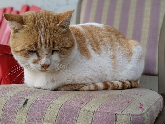 DIABLO VALLEY RANCH - Updated November 2024 - 42 Photos - 11540 Marsh ...