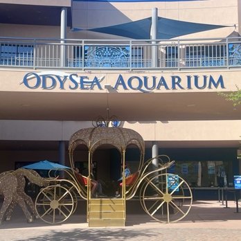 ARIZONA BOARDWALK - Updated December 2025 - 142 Photos & 41 Reviews ...