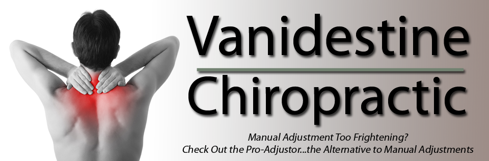 THOMAS J VANIDESTINE JR, DC - Updated July 2025 - 345 State St, Bangor ...