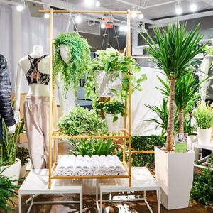 NOBLE PLANTS - Updated September 2024 - 44 Photos & 93 Reviews - 106 W ...