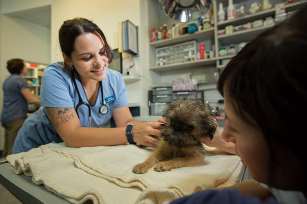 BERKELEY DOG & CAT HOSPITAL - Updated October 2025 - 132 Photos & 750 ...