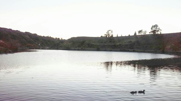 FIRST DAM PARK/CANYON ENTRANCE PARK - Updated October 2025 - US 89 ...