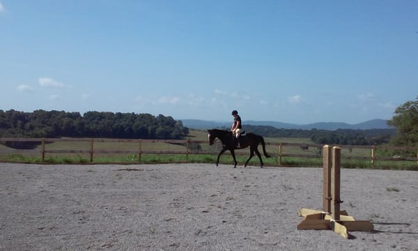 MEADOW RIDGE STABLES - 2115 Mud Pike Rd, Christiansburg, Virginia ...