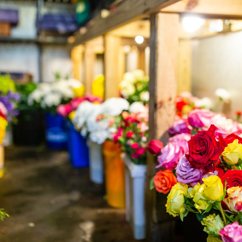 Flowers Brandywine Md - Home Alqu