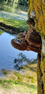 PYRAMID STATE PARK - Updated December 2024 - 1562 Pyramid Park Rd ...