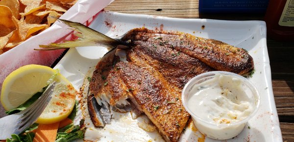 CRABBY LADY - 73 Photos & 59 Reviews - 123 Bayshore Way, Goodland, FL ...
