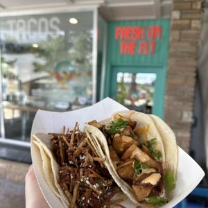 CALICO CACTUS - Updated January 2025 - 74 Photos & 10 Reviews - 833 S ...