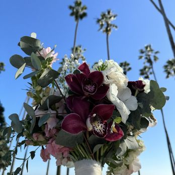 BLUE BLOSSOMS - Updated December 2025 - 164 Photos & 79 Reviews - 5878 ...