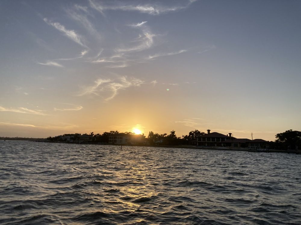 PIER DOLPHIN CRUISES - Updated January 2026 - 145 Photos & 50 Reviews ...