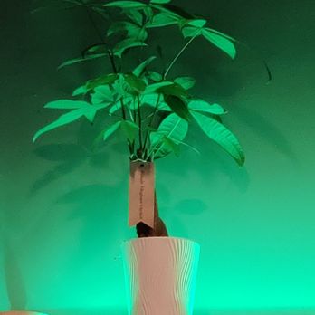 STELLA POINT GRILLE - Updated March 2025 - 76 Photos & 73 Reviews ...