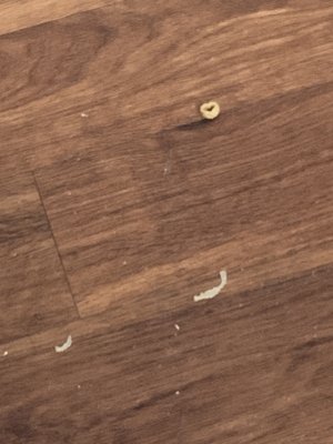 ATRIUM HEALTH MERCY, A FACILITY OF CAROLINAS MEDICAL CENTER - Updated ...