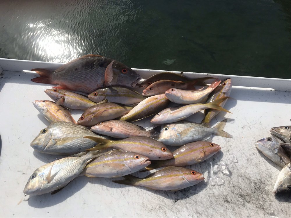 Captain Moe's Lucky Fleet, Key West | Roadtrippers