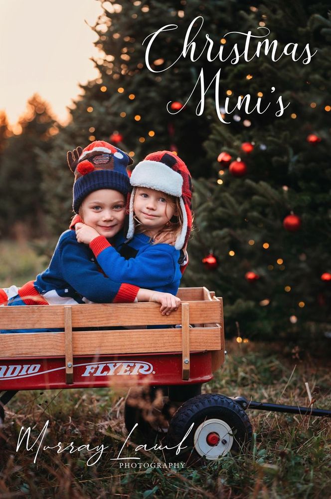 MURRAY LAMB PHOTOGRAPHY - Updated April 2025 - 20 Photos - East Lansing ...