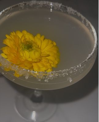 AVANA - Updated April 2025 - 61 Photos & 24 Reviews - 2200 Benjamin ...