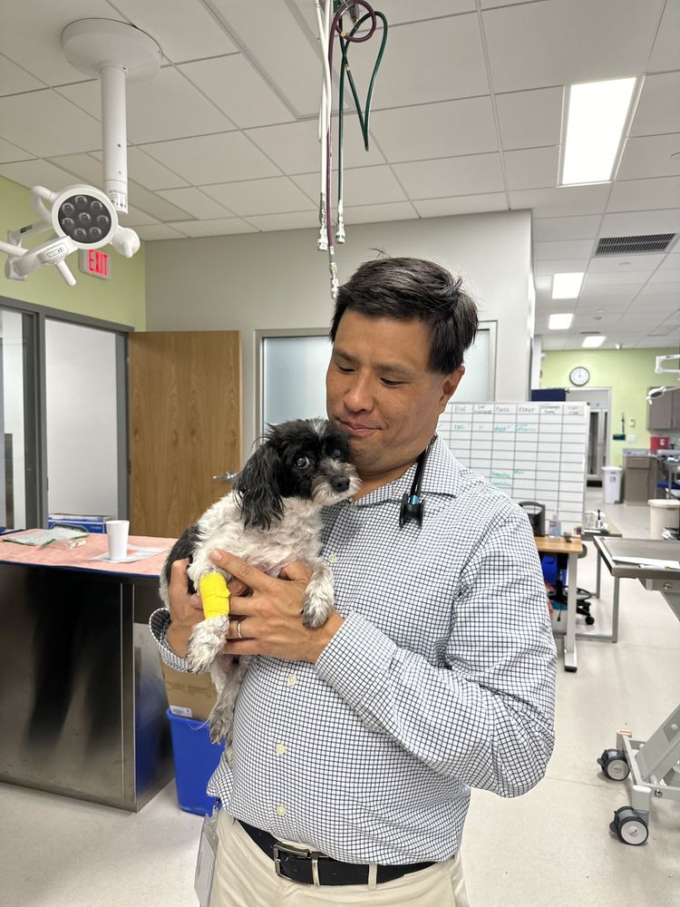 PORT CITY VETERINARY REFERRAL HOSPITAL - Updated January 2026 - 22 ...