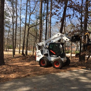 770-TREE-GUY - Updated October 2025 - 14 Photos & 11 Reviews - 238 1st Manassas Mile ...