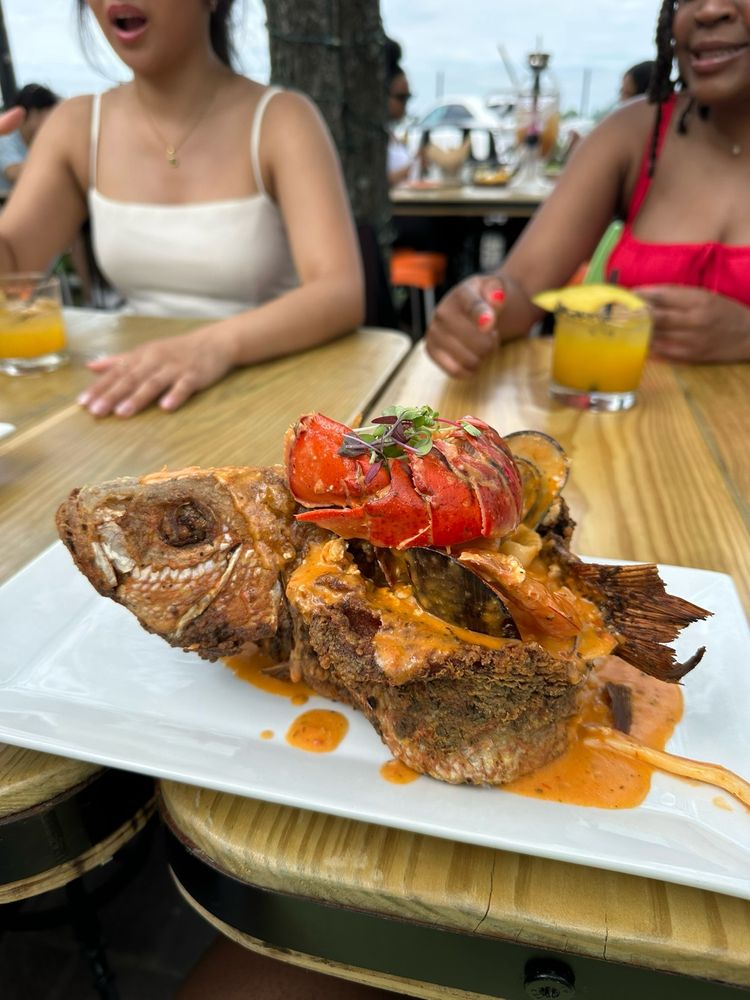 TERRA LUNA CAFE PROVIDENCE - Updated December 2025 - 68 Photos & 56 ...