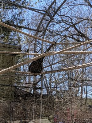 STONE ZOO - Updated February 2025 - 226 Photos & 201 Reviews - 149 Pond ...