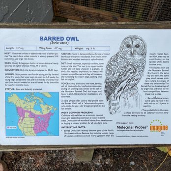 CASCADES RAPTOR CENTER - Updated November 2025 - 158 Photos & 115 ...