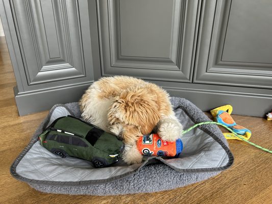 DIABLO SUBARU OF WALNUT CREEK - Updated December 2025 - 146 Photos ...