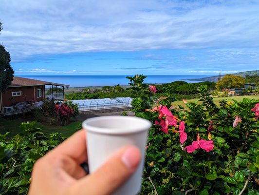 BAY VIEW FARM - Updated December 2025 - 99 Photos & 39 Reviews - 83 ...