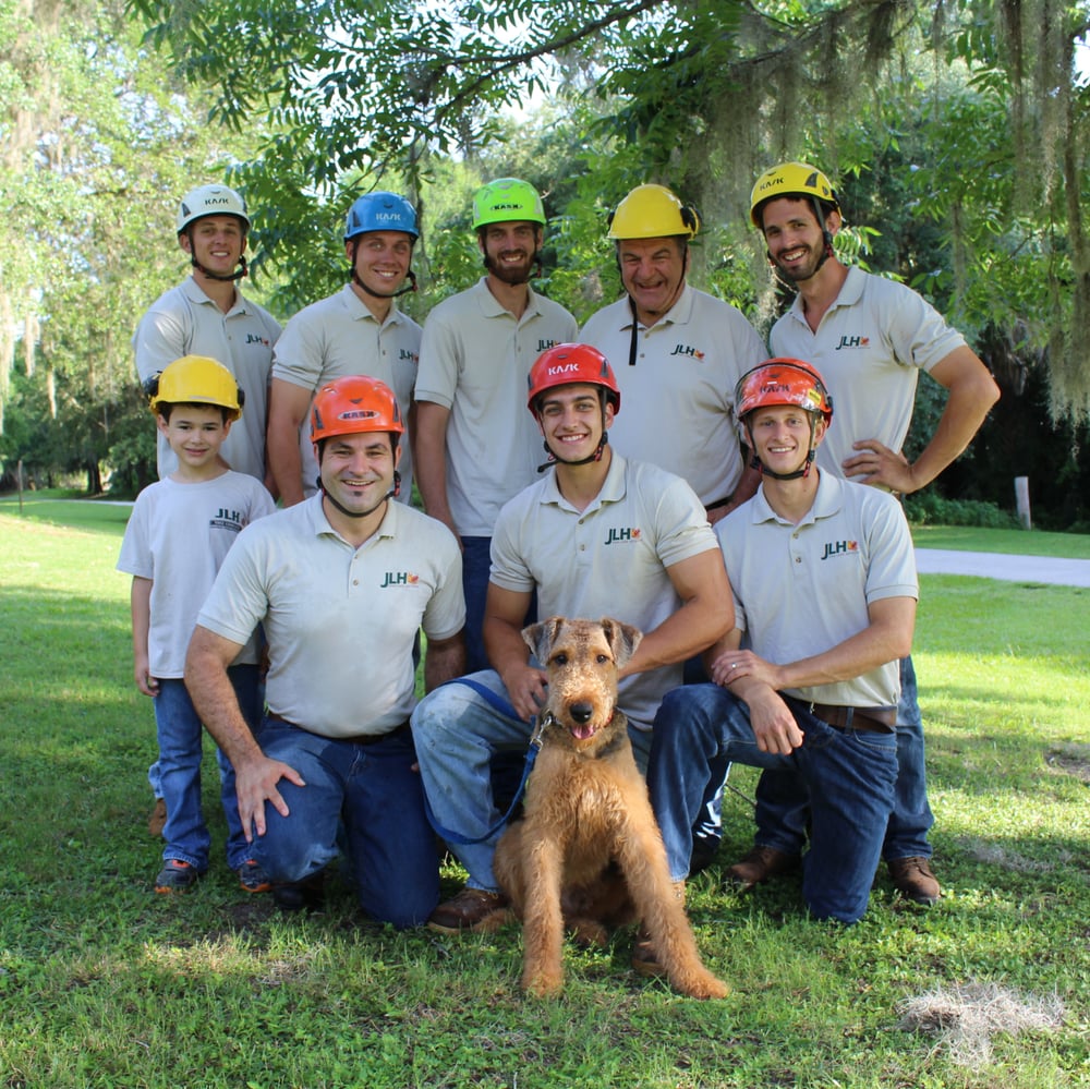 JLH TREE SERVICE - Updated January 2026 - 16 Reviews - Po Box 966 ...