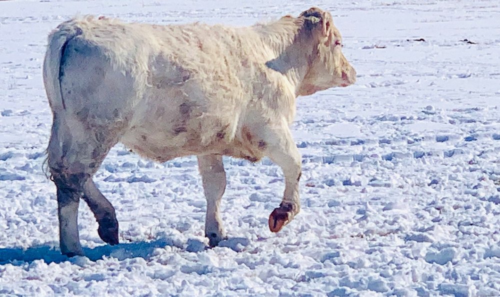 SUSON PARK - Updated February 2025 - 154 Photos & 40 Reviews - 6059 ...