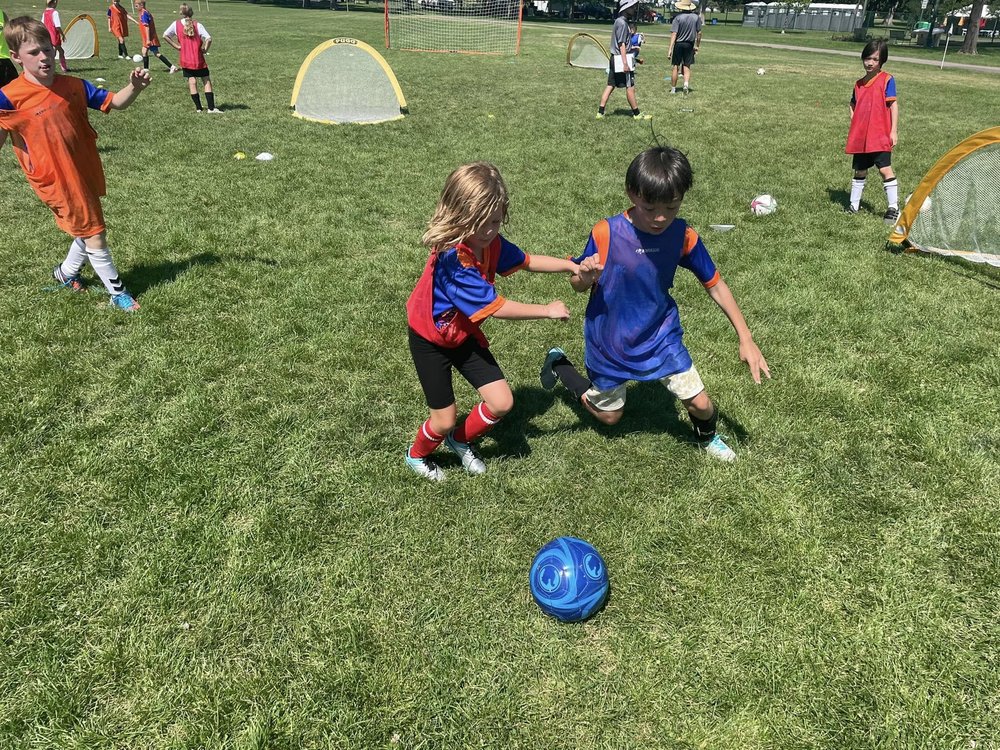 COERVER COLORADO - Updated July 2025 - 14 Photos - PO Box 4946 ...