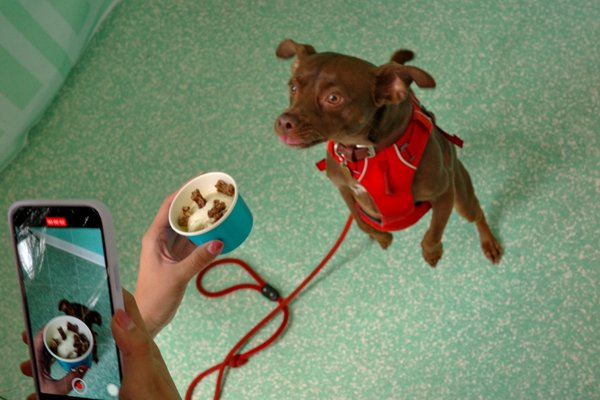 SALTY PAWS - Updated September 2024 - 55 Photos & 16 Reviews - 121 N ...