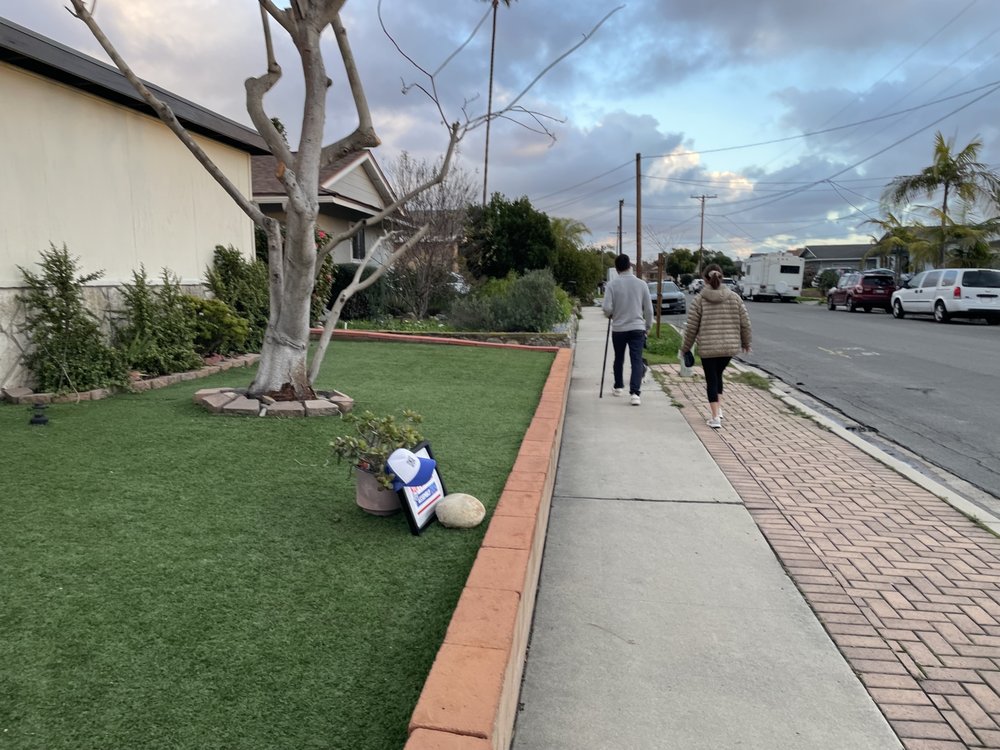 MR. TREE SERVICE - Updated November 2025 - 11 Photos - San Diego ...