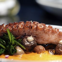 KATSIN - Updated November 2024 - 771 Photos & 258 Reviews - 515 W ...