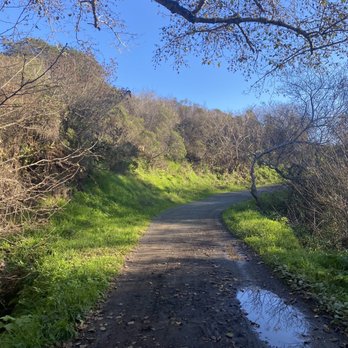 COAST CAMP - POINT REYES NATIONAL SEASHORE - Updated November 2025 - 89 ...