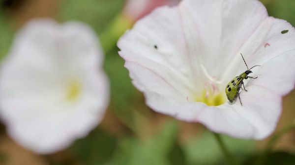 CRYSTAL BAY FARM - 139 Photos & 61 Reviews - 40 Zils Rd, Watsonville ...