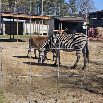 IT’S A ZOO LIFE - Updated December 2025 - 133 Photos & 15 Reviews ...