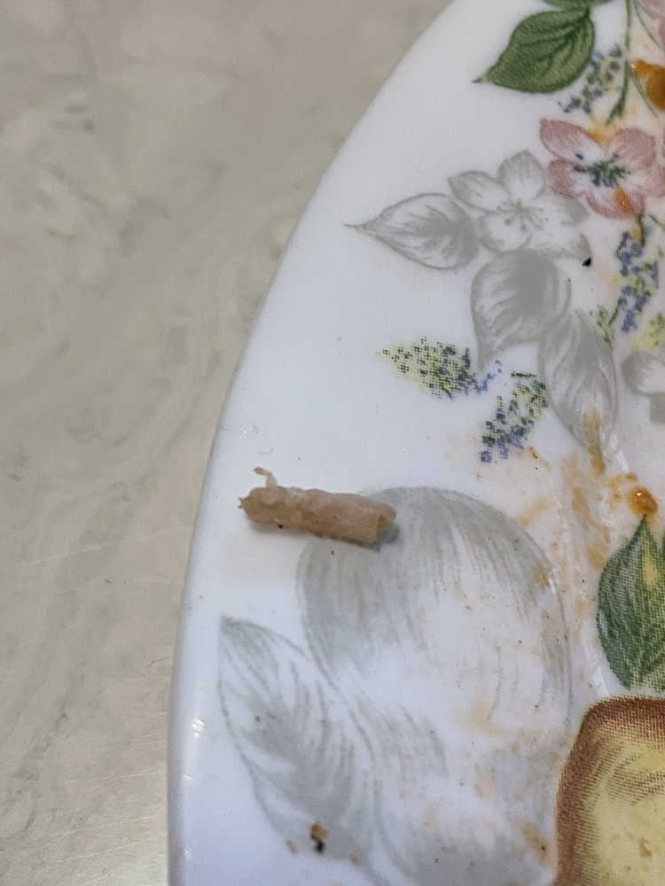 ROSA PIZZA - 36 Photos & 37 Reviews - 212-45 26th Ave, Bayside, NY - Yelp