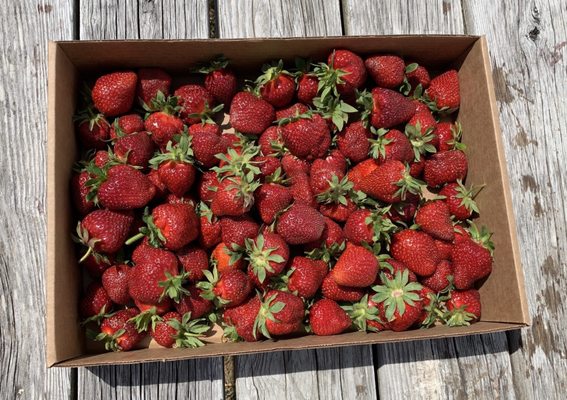 BIRINGER FARM - 83 Photos & 34 Reviews - 21412 59th Ave NE, Arlington ...