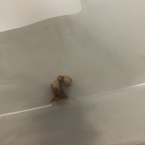 MARK L GLYMAN, MD DDS FACS - Updated November 2025 - 73 Reviews - 2030 ...