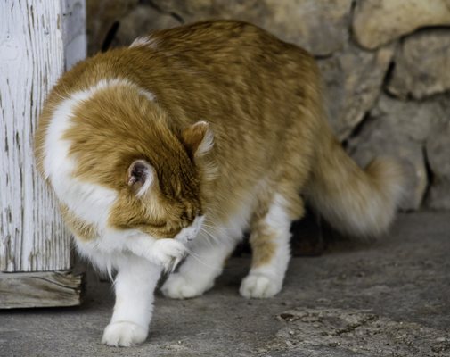 JIGGS BAR - Updated December 2025 - Hc 30 Box 400-12, Jiggs, Nevada ...