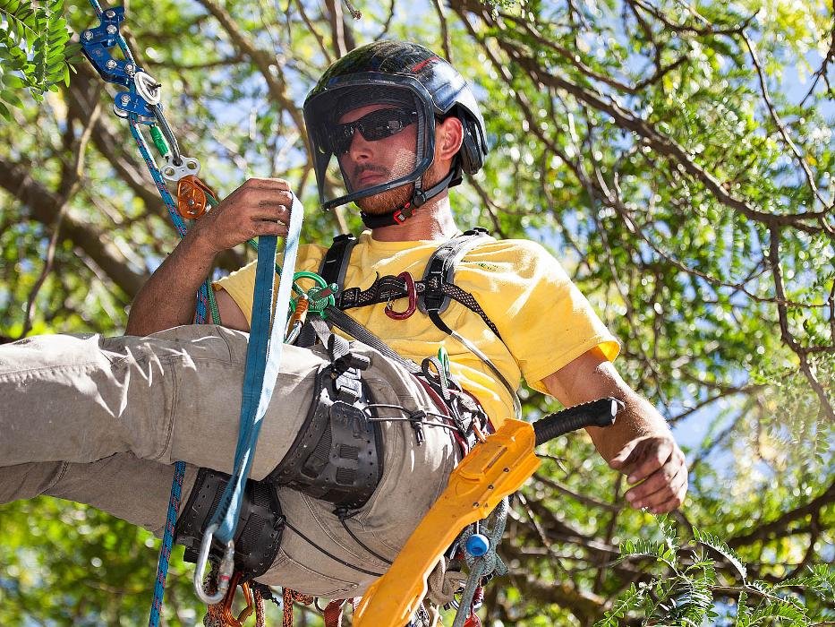 SOUTHERN OREGON TREE CARE - Updated August 2025 - 62 Photos - 162 N ...