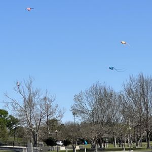 KENNER CITY PARK PAVILION - Updated June 2024 - 119 Photos & 10 Reviews ...