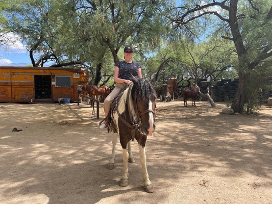 HOUSTON’S HORSEBACK RIDING - 64 Photos & 46 Reviews - 12801 E Speedway ...