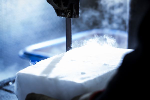 NATUZZI ICE - Updated December 2025 - 18 Reviews - 12160 Farmers Blvd ...