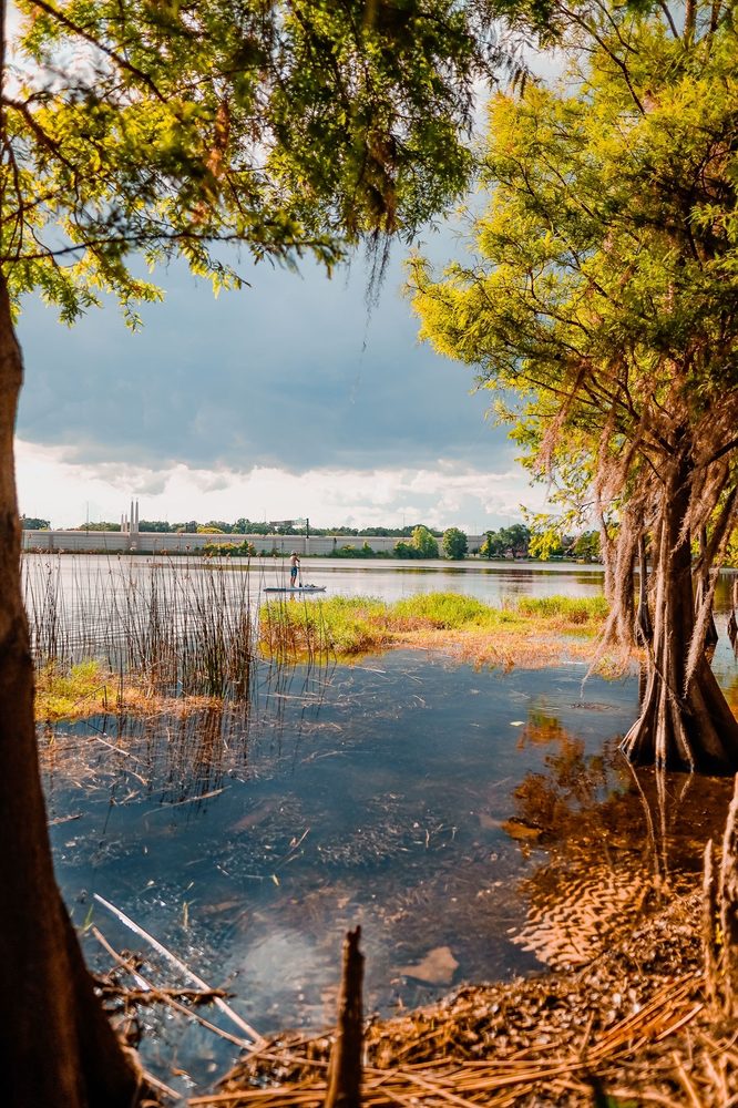 GASTON EDWARDS PARK - Updated December 2025 - 84 Photos & 23 Reviews ...