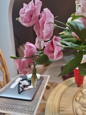 CHRISTOPHER FLOWERS - Updated May 2024 - 58 Photos & 56 Reviews - 3120 ...