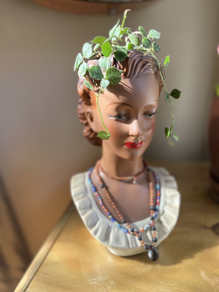 PAUL-LEE-NATION PLANT & GARDEN STYLING - Updated June 2024 - 24 Photos ...