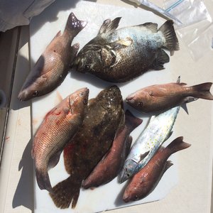 CAPTAIN AARON LOWMAN - Updated April 2024 - 53 Photos - 4110 127th St W ...