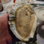 THE OYSTER BAR - 123 Photos & 131 Reviews - 1830 S Calhoun St, Fort ...