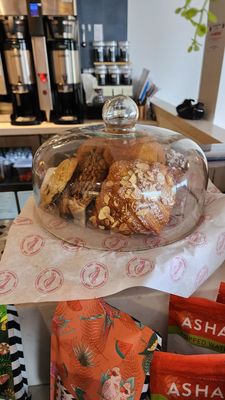 PARAKEET CAFE - Updated March 2025 - 39 Photos & 16 Reviews - 1155 ...